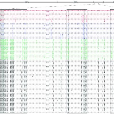 Schematic Representations Of Pedv Genome Organization And Virion