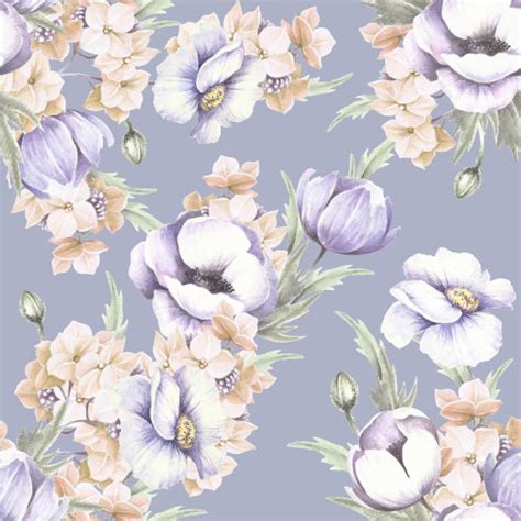 Wood Anemone Background Illustrations Royalty Free Vector Graphics