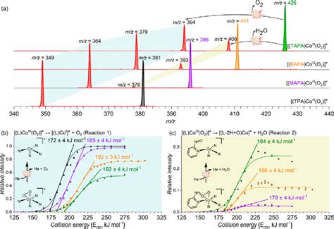 Collision Induced Dissociation Cid Experiments Of Lco Iii O 2
