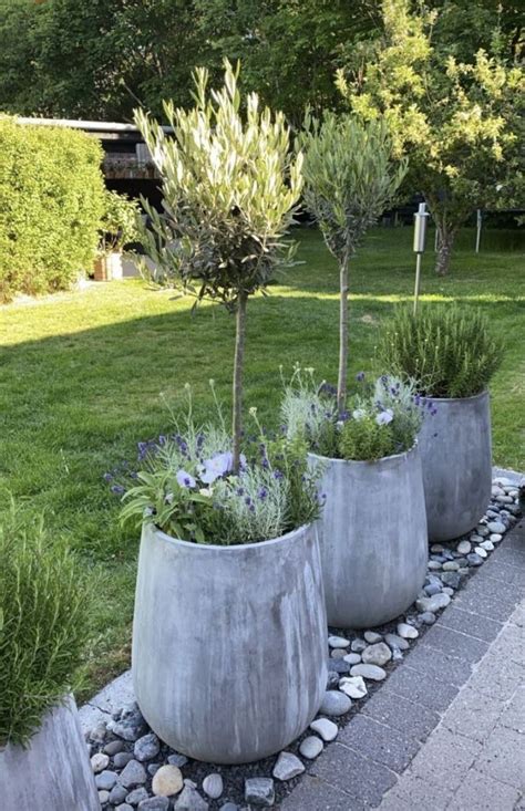 How To Use Tall Planters In Your Garden 47 Ideas Digsdigs