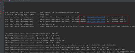 Nacos配置了远程地址，项目启动时却一直连接本地问题解决方法nacos设置了远程的地址确还是localhost Csdn博客