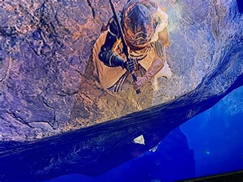 This Birb That Got Stuck Inside The Wall R Eldenringmemes