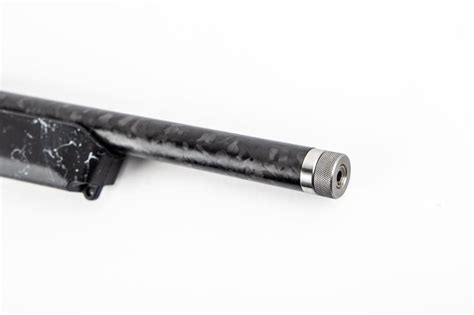 Gun Ruger 10 22 Semi Auto Rifle 22lr 4851967445