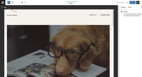 Template Editor Documentation