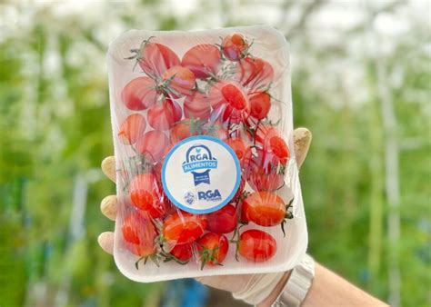 Rga Alimentos Expande La Soberanía Alimentaria Mitdf Mitdf Noticias