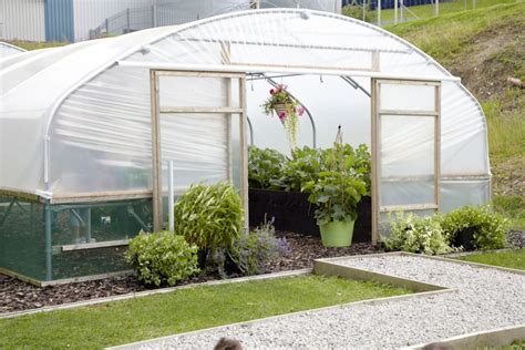 Polytunnel Layout Ideas For Beginners Polytunnel Gardening