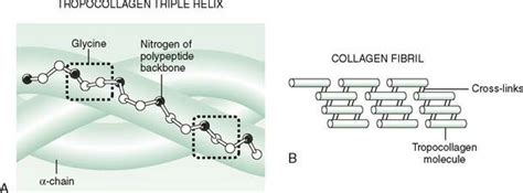 Gene Expression Basicmedical Key