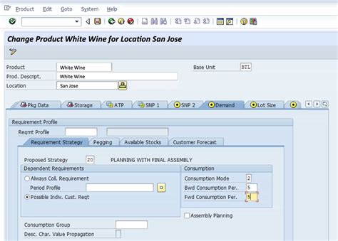 How To Use Forecast Consumption Settings In Sap Apo Brightwork Research And Analysis