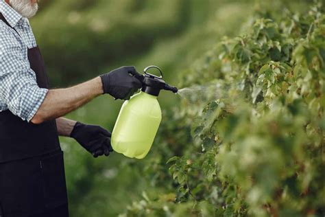 Cpa Certified Pesticide Applicator
