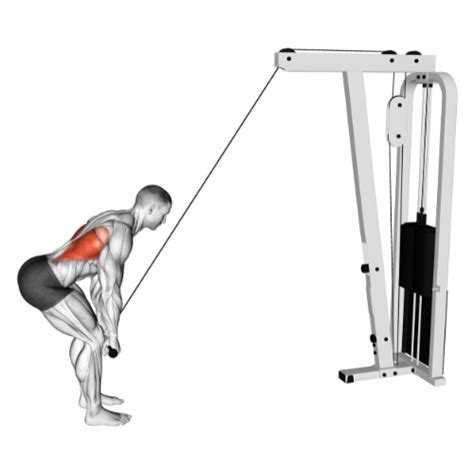 Weighted Pull Up Guide Video Exercise Guide And Tips