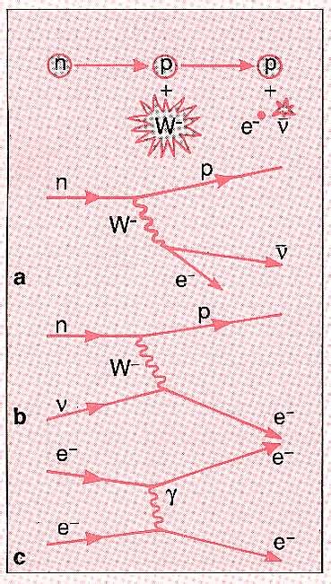 Subatomic Forces New Scientist