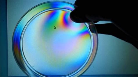 Polarized Light Polarizing Filter Light Polarized