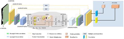 Three Dimensional Multifaceted Attention Encoderdecoder Networks For