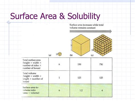 How Does Surface Area Affect Solubility Detroit Chinatown