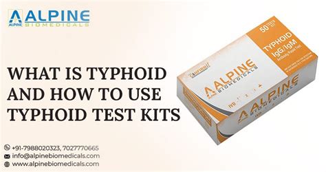 What Is Typhoid And How To Use Typhoid Test Kits Alpine Biomedicals Medium