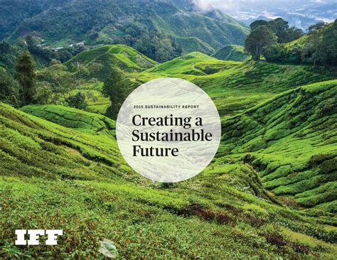 Experience Iffs 2023 Sustainability Report Iff