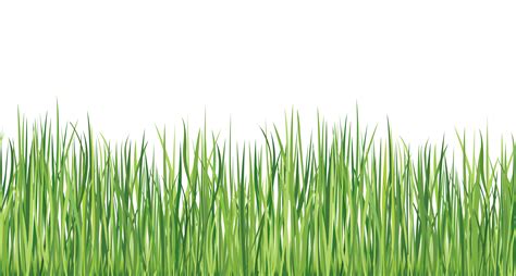 Grass Seamless Border Summer Outdoor Background Nature Skyline 531105