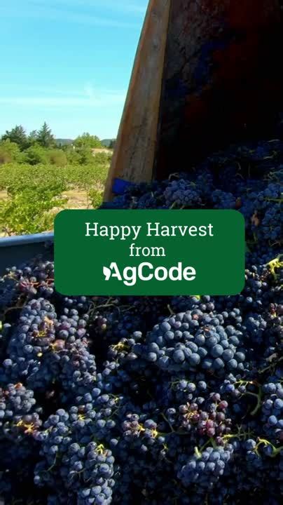 [video] Agcode On Linkedin Agcode Happyharvest Farmsuccess Thrivingtogether Harvestseason…