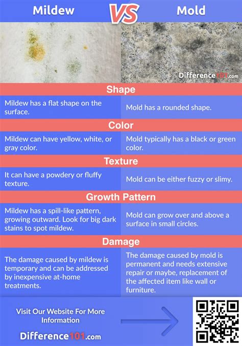 Mildew Vs Mold Differences Similarities Pros Cons Artofit