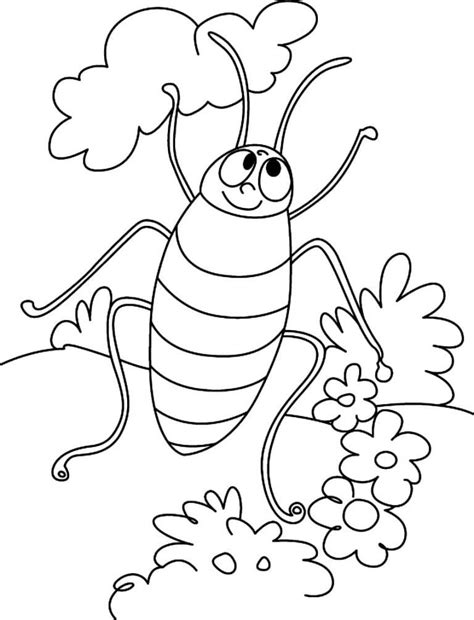 Printable Cockroach Coloring Play Free Coloring Game Online