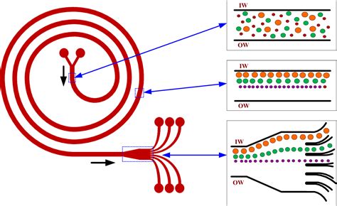 Figure 1 From Inertial Microfluidics For Continuous Particle Separation