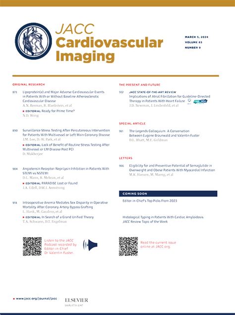 Type I Carpentier Classification For Afmr Definition Only One Piece Of