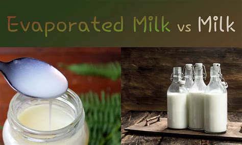 Evaporated Milk Vs Milk Which Is Better The Coconut Mama