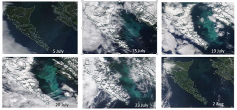 Modis T Images At 250 M Spatial Resolution Showing Bright Water In