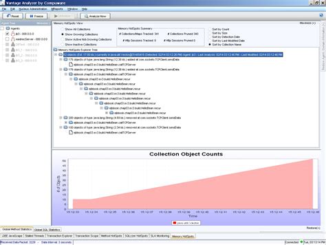 Tool Report Compuwares Vantage Analyzer