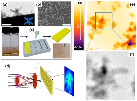 X Ray Diffraction A Powerful Technique For The Multiple Length Scale