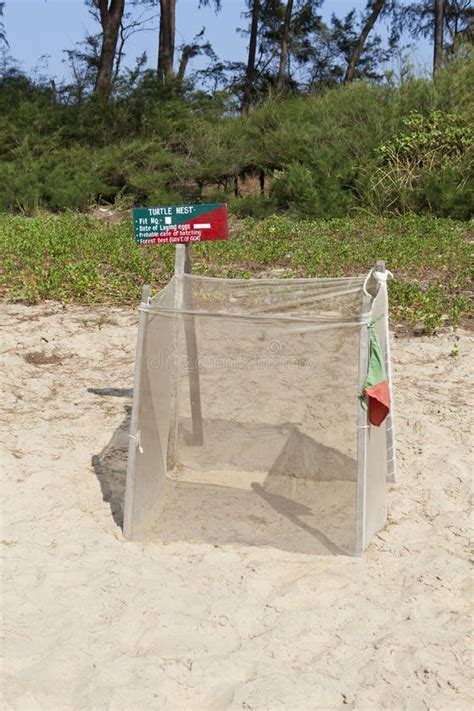 Galgibaga Beach Stock Image Image Of Colony Environment 30079835
