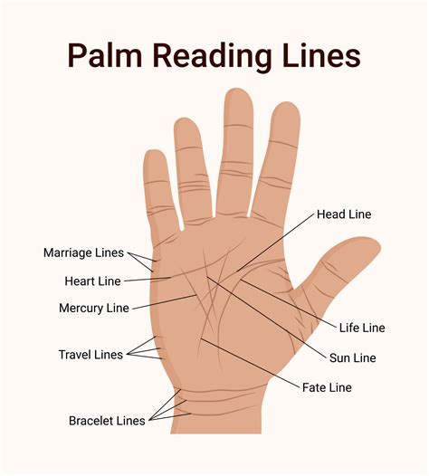 Palm Reading Guide For Beginners Learn With A Simple Chart