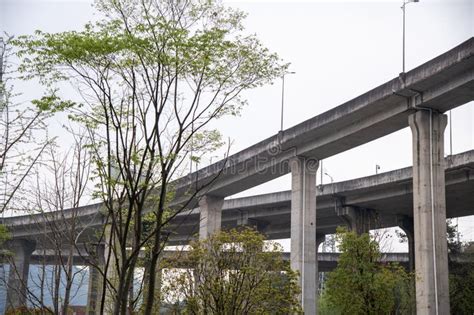 Concrete Highway Bridge Stock Image Image Of Cross 312784283