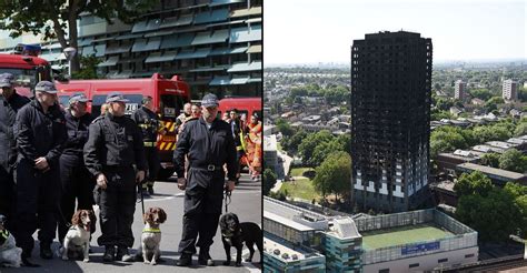 Emma Warnock Emmawarnock23 Twitter