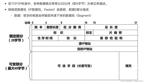 计网lesson10 网络层之ip协议分析分析ip协议数据报格式 Csdn博客