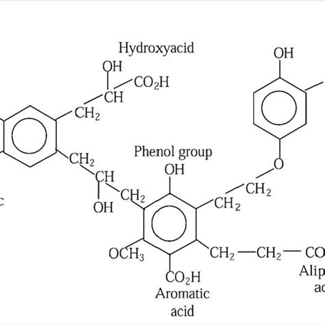 Hypothetical Molecular Structure Of Humic Acid Showing Important