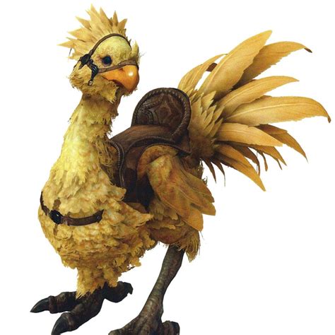 Chocobo Render From Final Fantasy Xv Final Fantasy Art Fantasy Monster Final Fantasy Collection