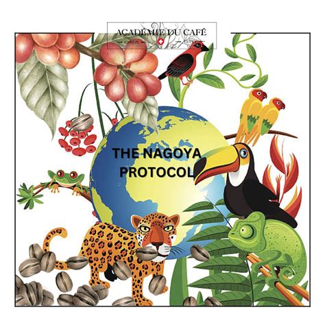 The Nagoya Protocol Académie Du Café