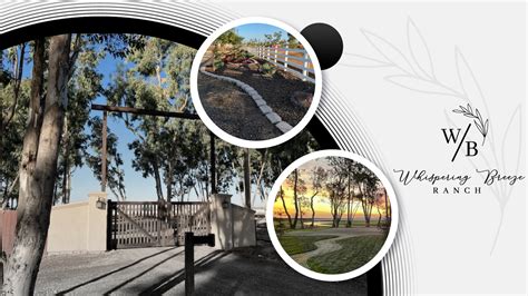 Whispering Breeze Ranch Wilton Ca