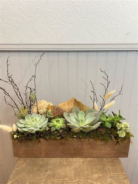 Succulent Planter Juniper Flowers Best Seattle Delivery