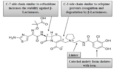 Chemical Structure Of Cefiderocol Download Scientific Diagram