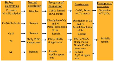 Summary Of Dissolution Process Of Low Grade Cu Anode During Electrolysis Download Scientific