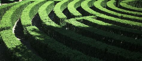 The Case For An Aiai Artificial Intelligence Alternative Investment Portfolio Allocation