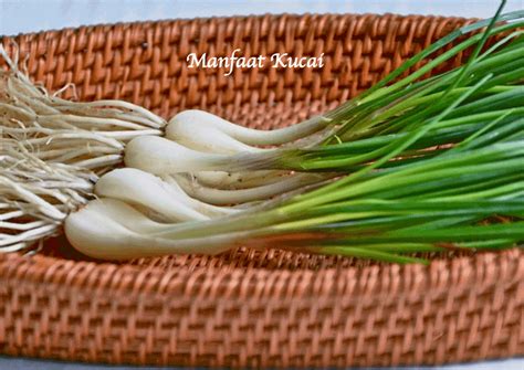 9 Manfaat Kucai Untuk Kesehatan Bams