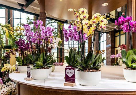 Floréac Magazine 22 4 2022 Christmas Special By Floréac Issuu