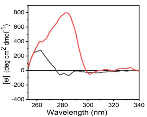Circular Dichroism Cd Spectroscopy Service Mtoz Biolabs