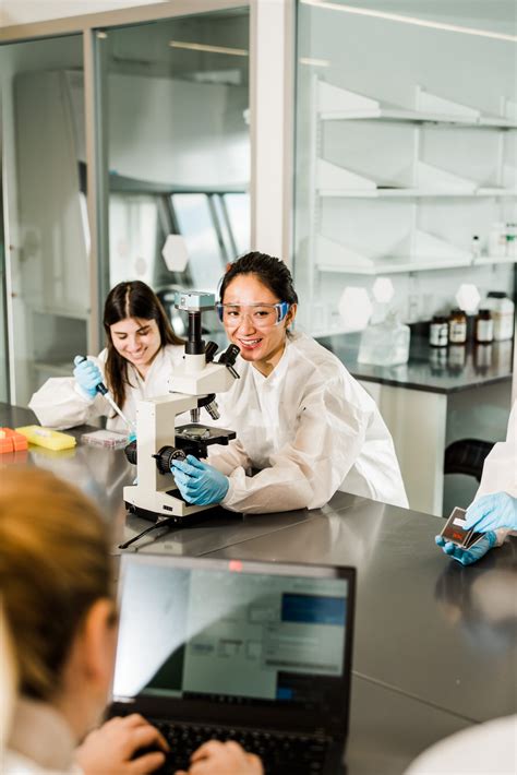 Minor In Biomedical Engineering College Of Engineering