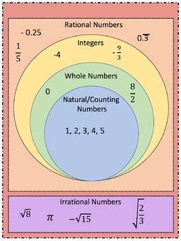 Types Of Numbers Chart By Raegan Bailey Tpt
