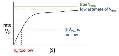 Experimental Enzyme Kinetics Linear Plots And Enzyme Inhibition Bioc