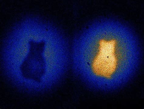 Entangled Photons Make A Picture From A Paradox Quantum Imaging Outlines Objects With Light